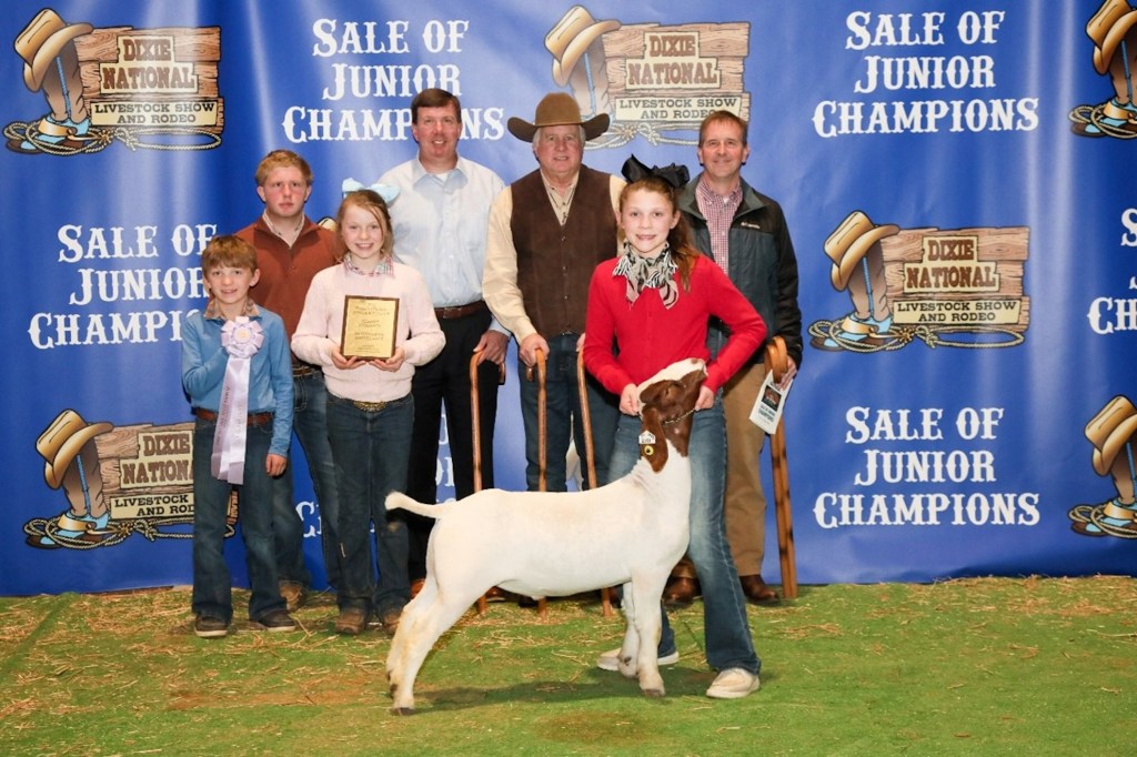 Lafayette County youth recognized at annual Dixie National Sale of ...