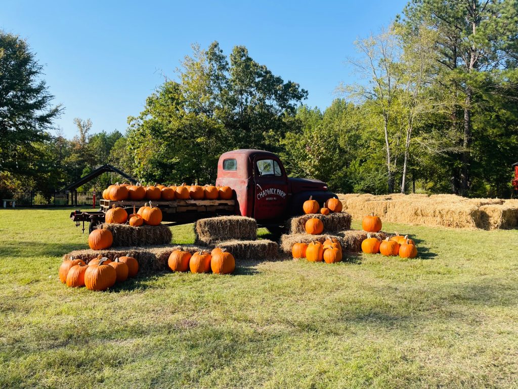 Chadwick Farm is quickly becoming a fall family favorite | The Oxford Eagle
