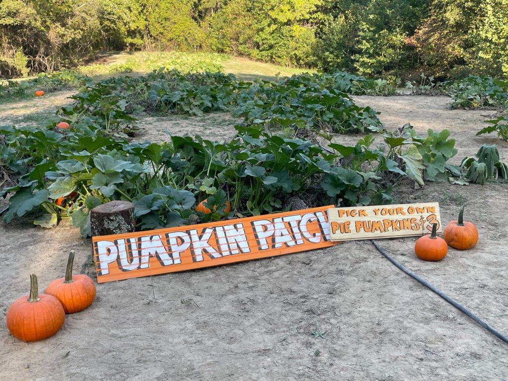 Chadwick Farm is quickly becoming a fall family favorite | The Oxford Eagle