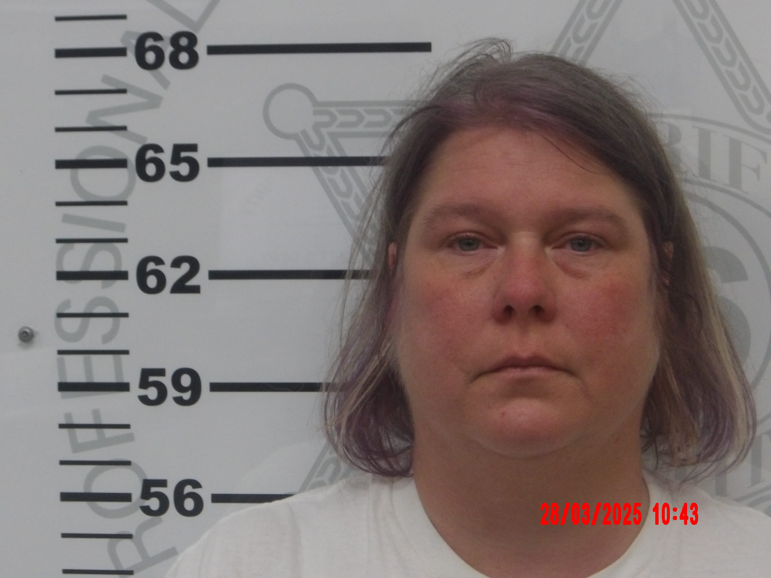 Felon charged with having a firearm | The Oxford Eagle