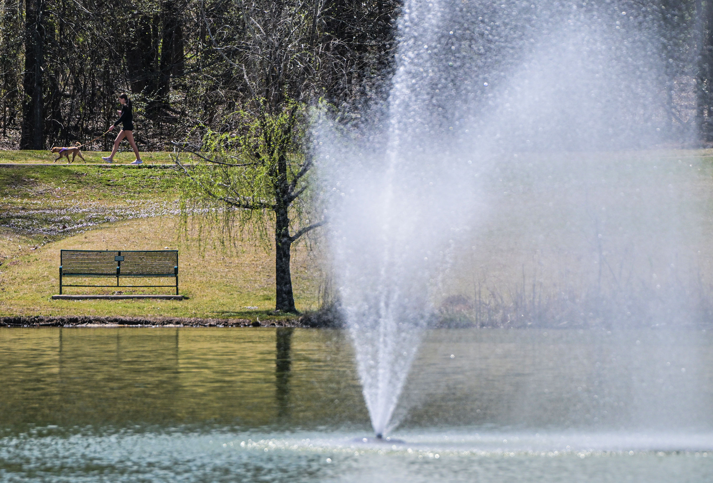 New fountain at Lake Patsy | The Oxford Eagle