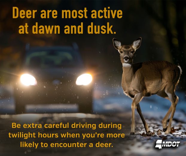 MDOT reminds motorists to be alert for deer | The Oxford Eagle