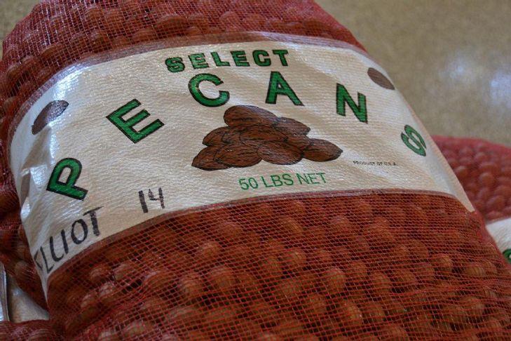 Pecan harvest decent despite weather, disease | The Oxford Eagle